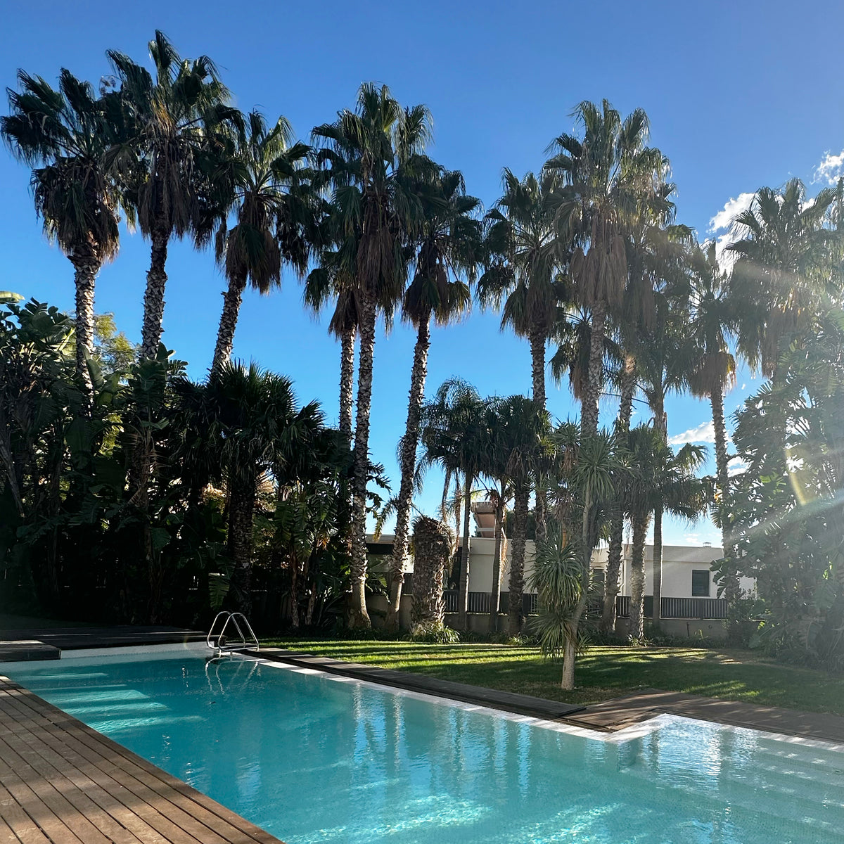 WOMB CONTINUUM CARE – Sacred Woman